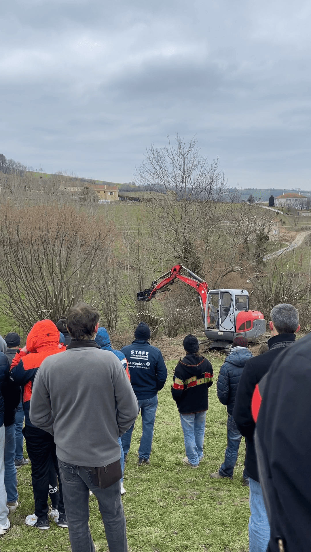 Monts du Lyonnais - Des agriculteurs gèrent et valorisent leurs haies ...