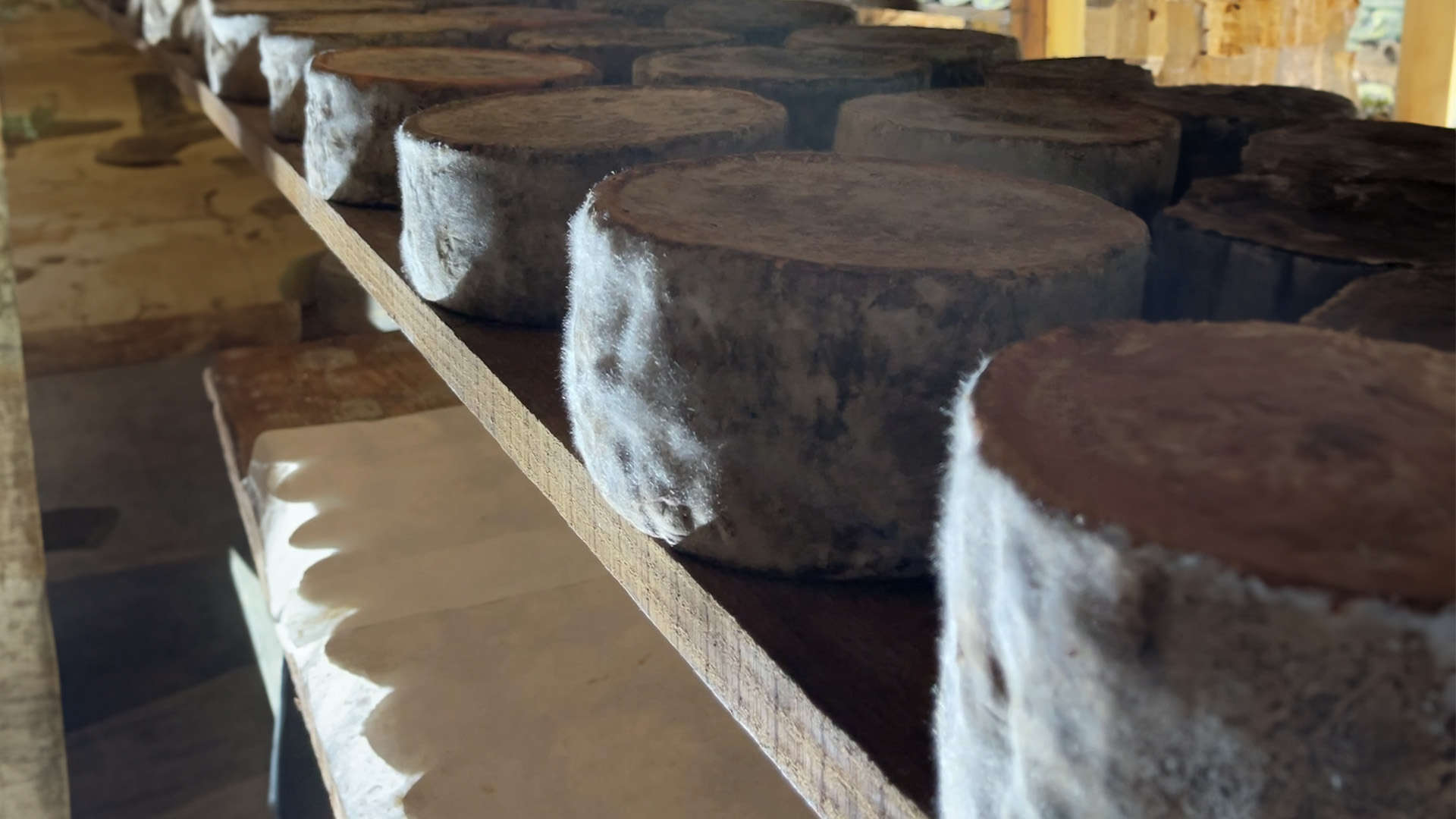 Les 2 Chapelles ouvrent une crèmerie-fromagerie à Chazelles-sur-Lyon ...